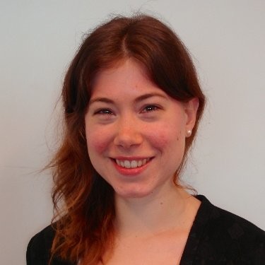 Arjen van der Wel research team group