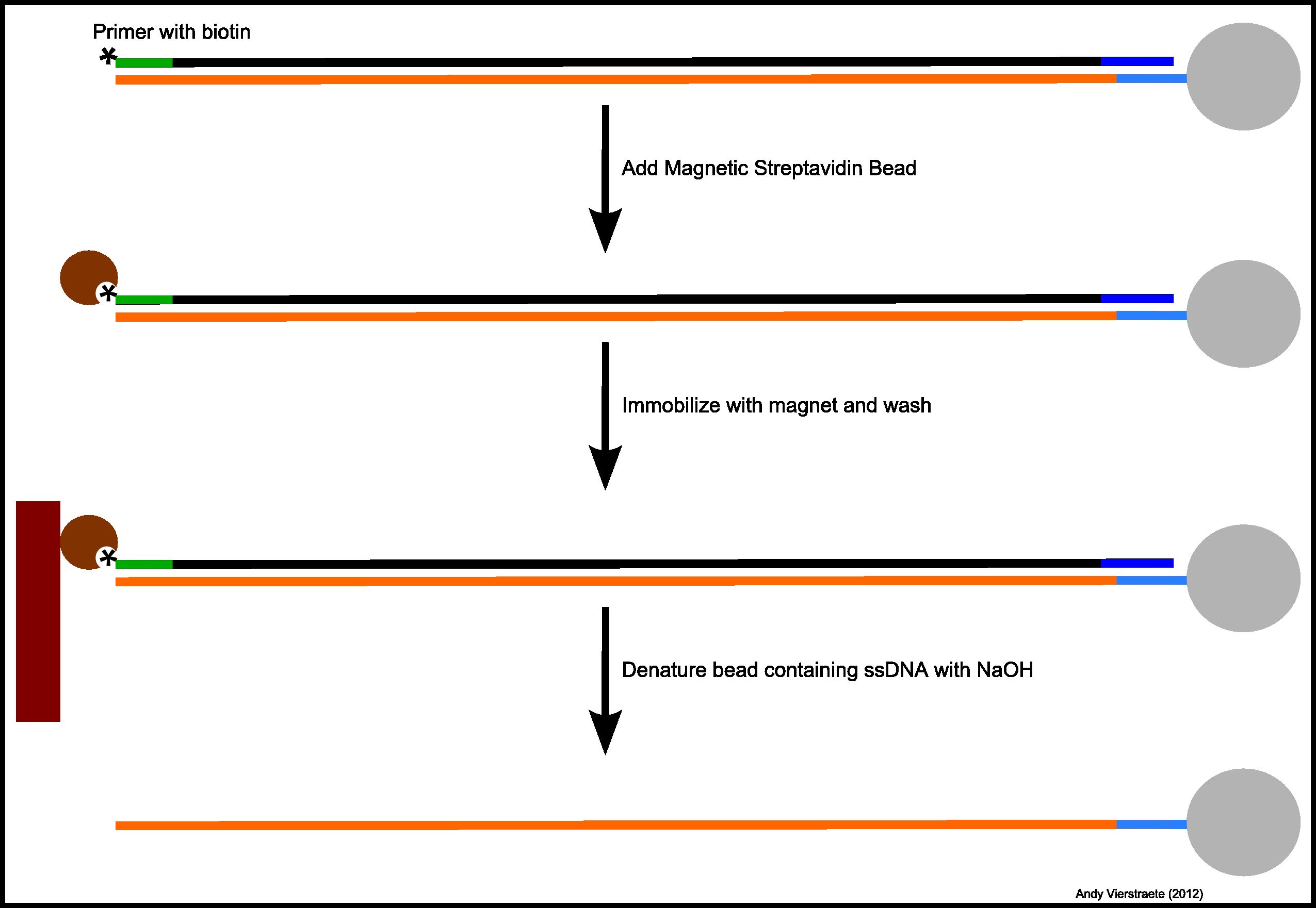 Next Generation Sequencing