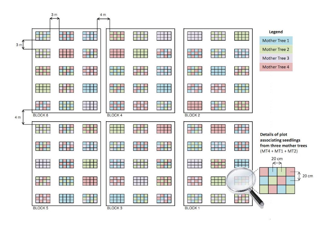 TreeDivNet - Communitree (France)